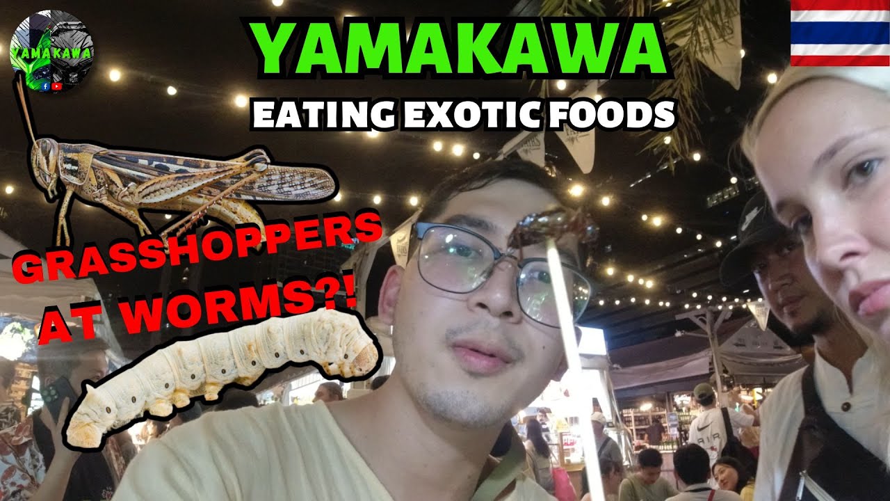 Thailand Exotic Foods at Jodd Fairs Night Market - YouTube