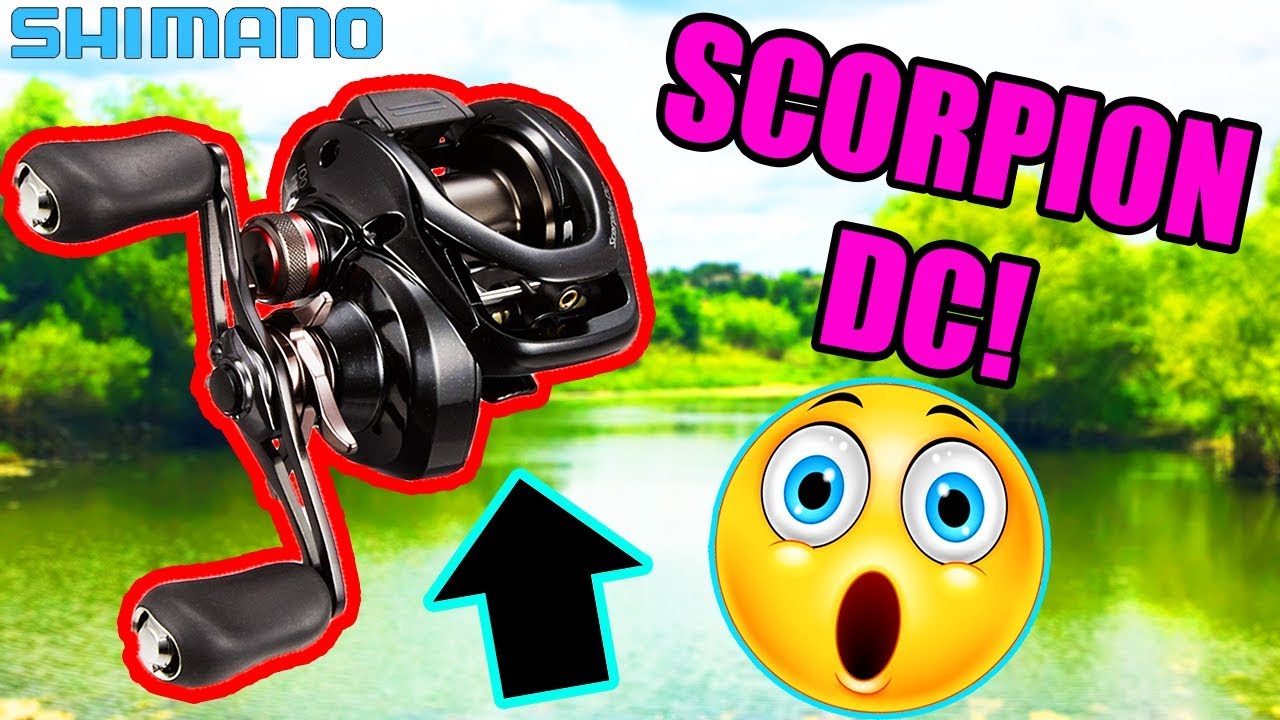 Shimano DC Reel Put To The Test! (Shimano Scorpion DC!) - $300 JDM Reel ...