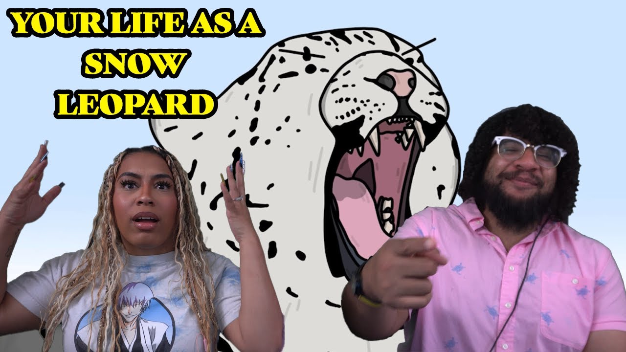 Your Life As A Snow Leopard | James Toland Reaction - YouTube