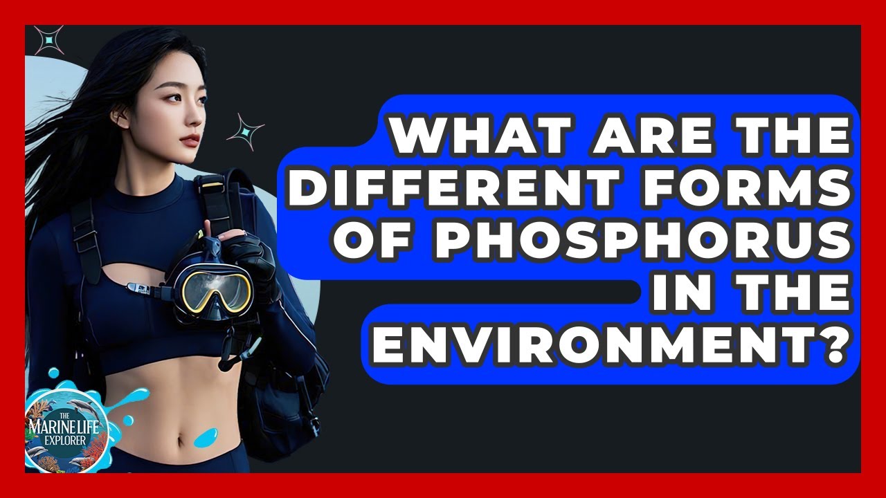What Are The Different Forms Of Phosphorus In The Environment? - The ...