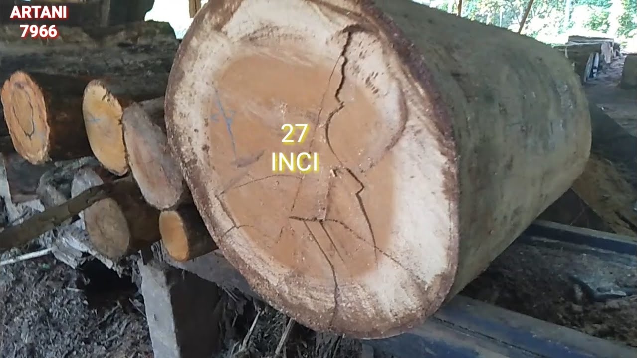 Amazing wood sawmill KAYU TERAF BESAR 27 INCI - YouTube