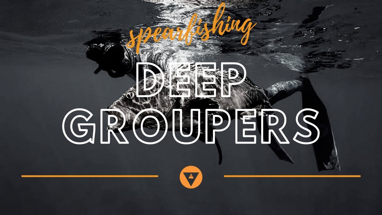 Alchemy Spearfishing | Deep Groupers E2 - YouTube
