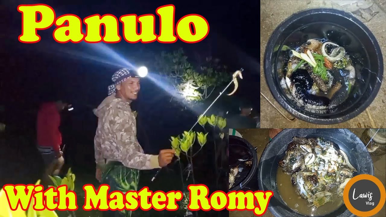 Panulo sa spot ni Master Romy @ Cadungonan, Ban-ao - YouTube