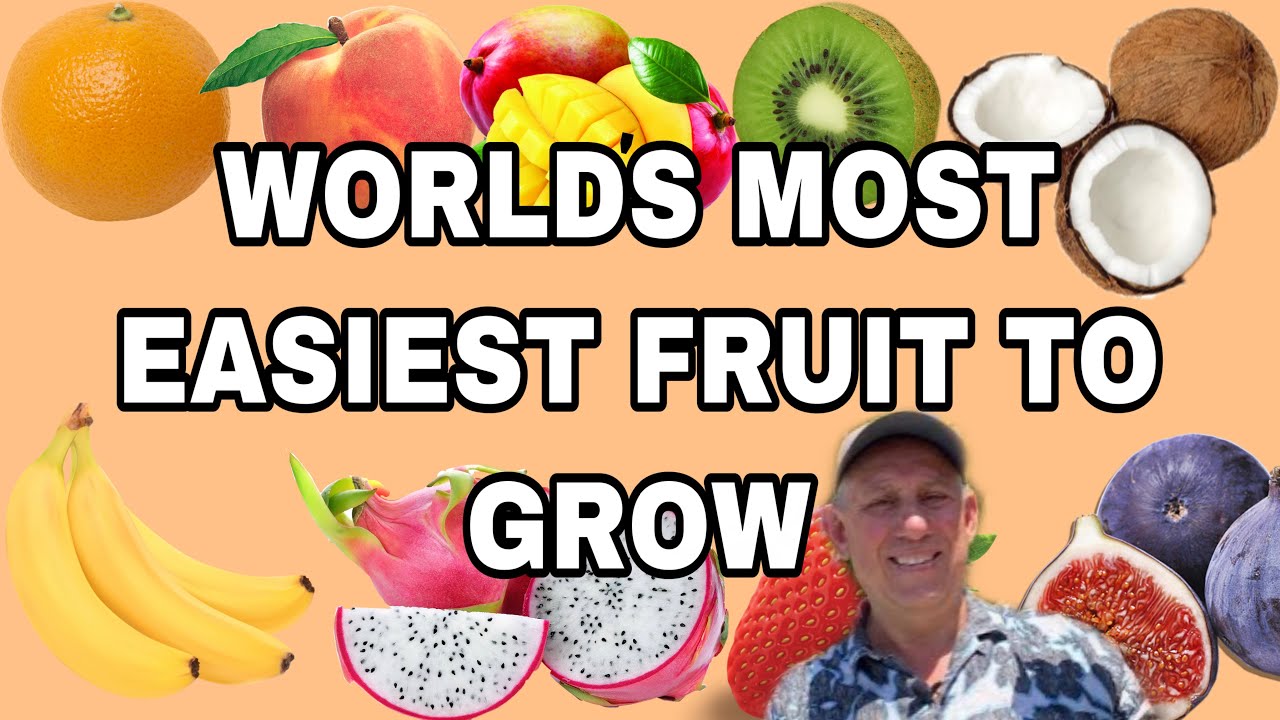 How To Grow The World’s Easiest Fruit | 3 Planting Methods feat. Nature ...