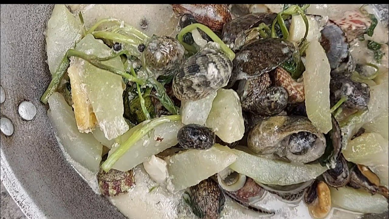 Yummy Ginataang Sihi ( Fresh Sea Shells in Coconut Milk) || Unique ...