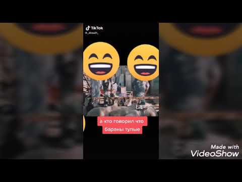 Тик ток приколы