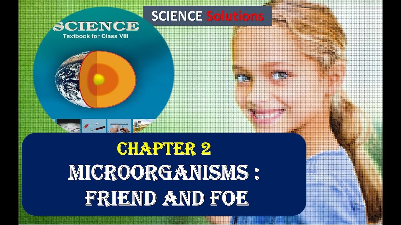 Microorganisms Friend and Foe CLASS 8 SCIENCE NCERT SOLUTIONS CHAPTER 2 ...