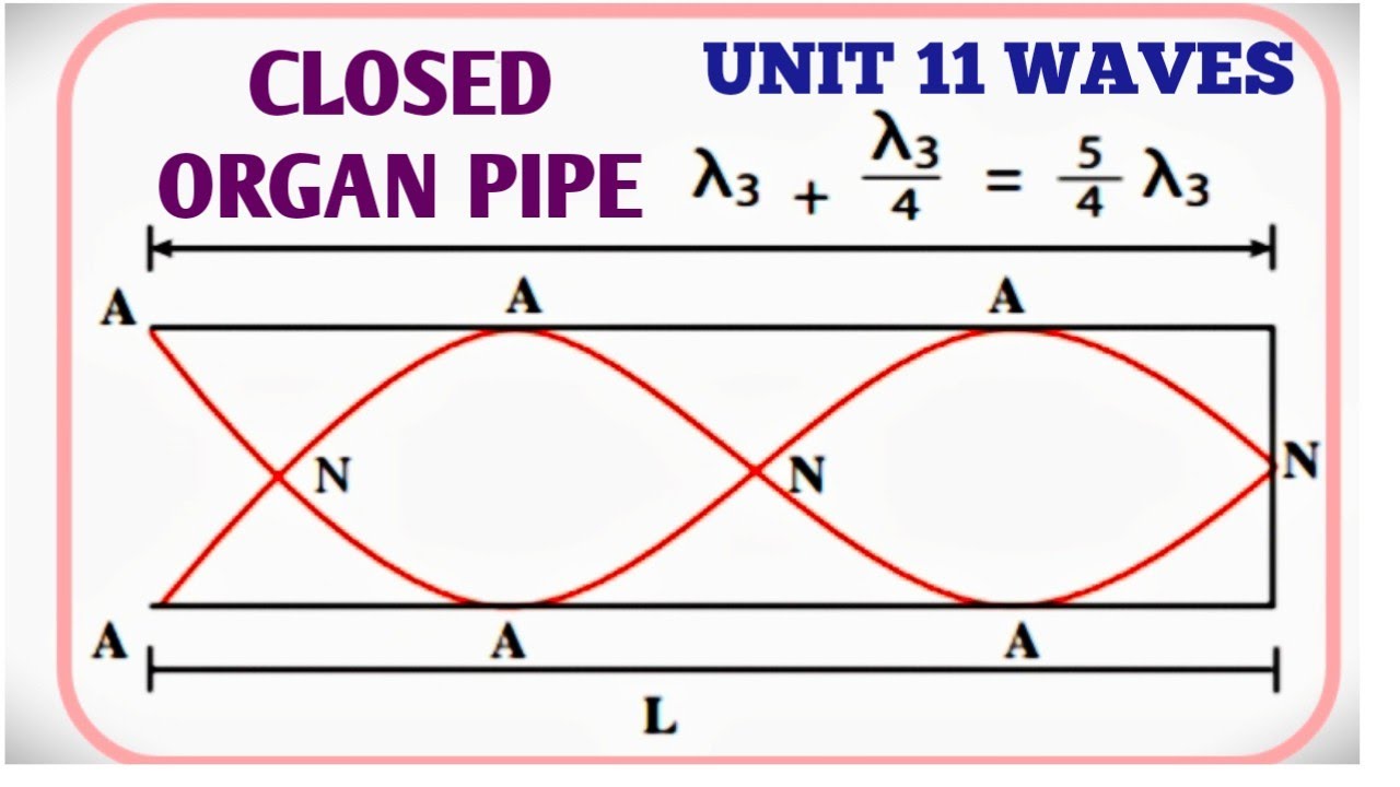 Unit 11 Waves | Closed Organ Pipe | 11 Physics Samacheer Kalvi - YouTube