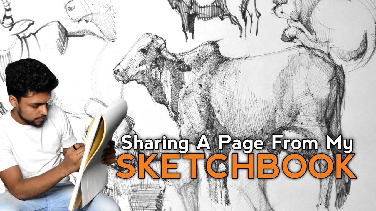 SKETCHBOOK - Critical Sketching Lesson - YouTube