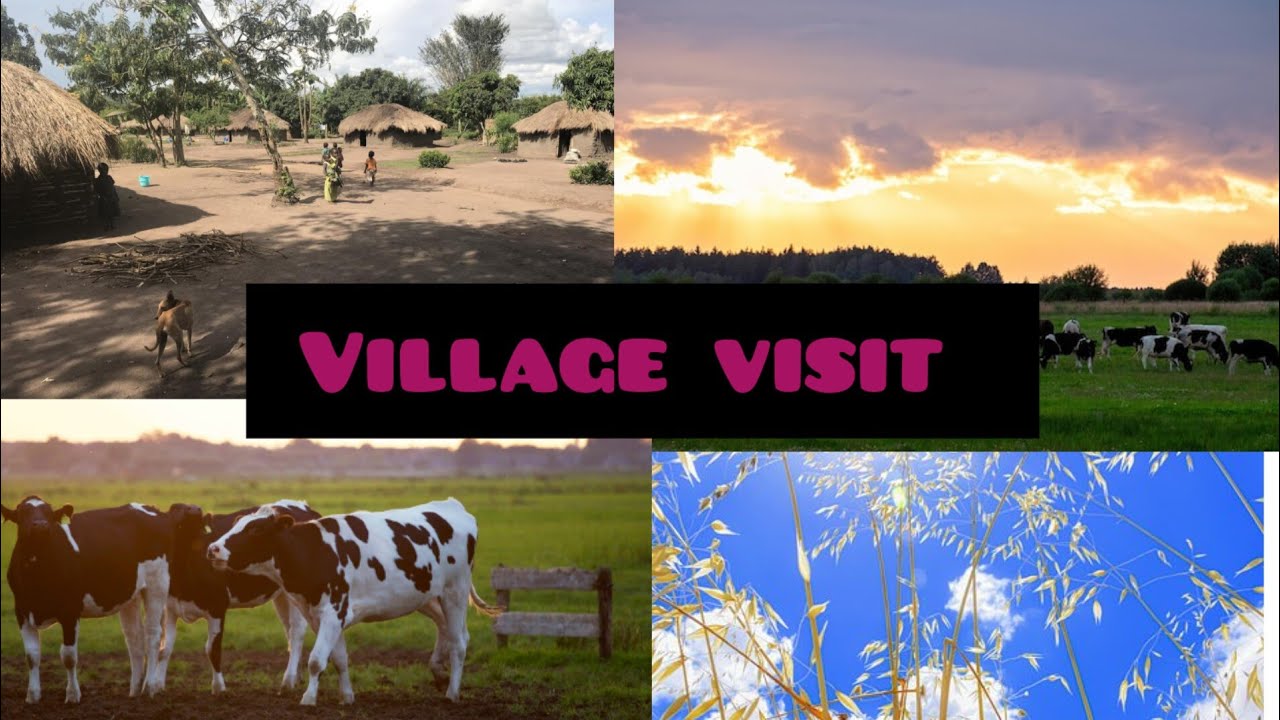 VILLAGE SCENES || A DAY IN A VILLAGE 🌸 - YouTube