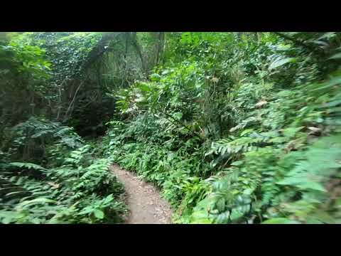 8/5/19 bukit kiara BOON Flinstone - YouTube