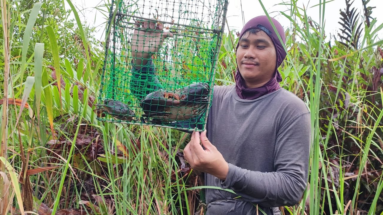 [EP 36] Salamat sa malaking biyaya God🙏 | Catching mud crab Philippines ...