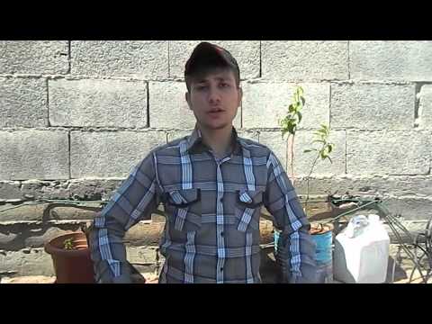 Son İhtimal Doldur Meyhaneci 2014  Beklenen Parça Ve Klip Çıktı