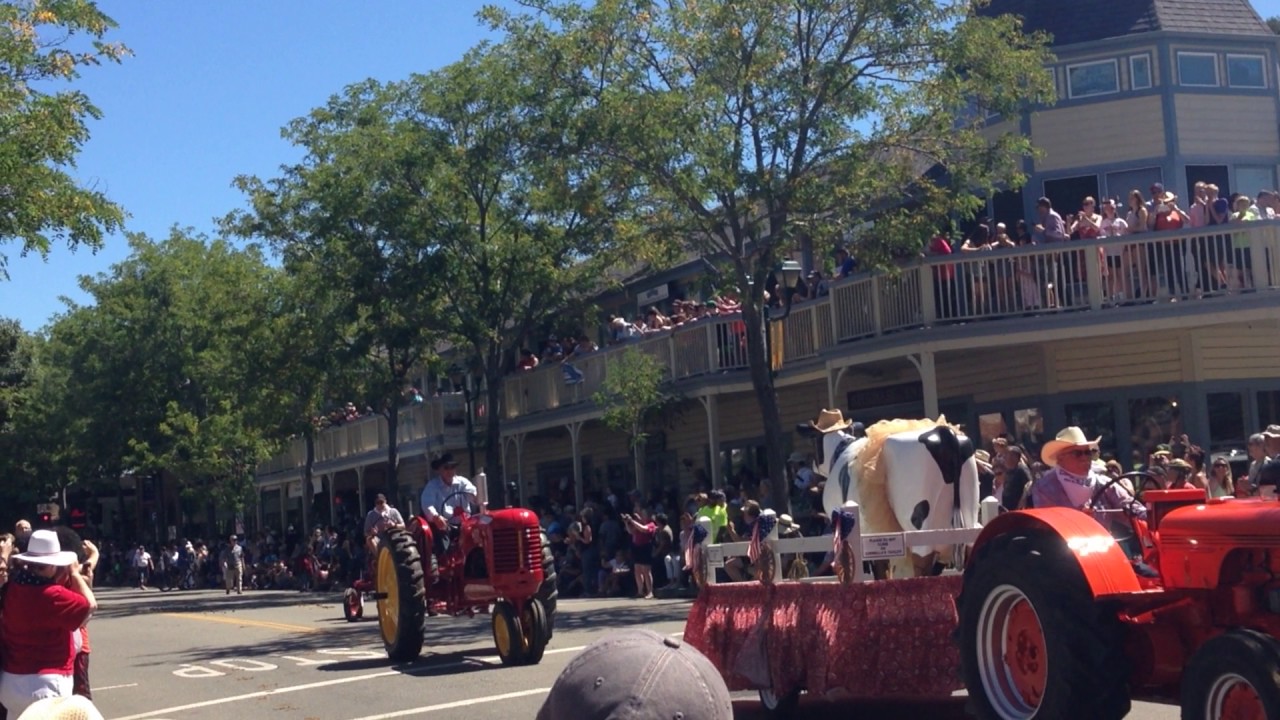 Cattle Drive In Pleasanton! Alameda County Fair - YouTube