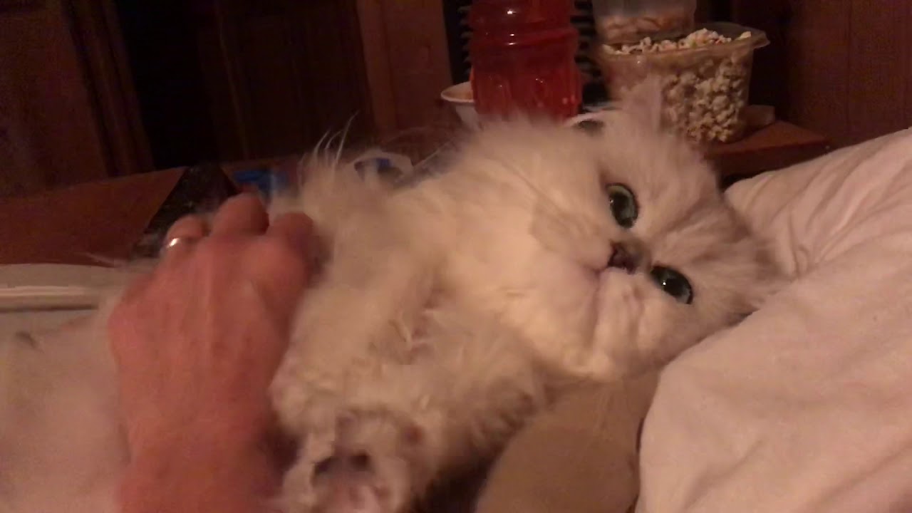 Princess Ari DollFace - YouTube