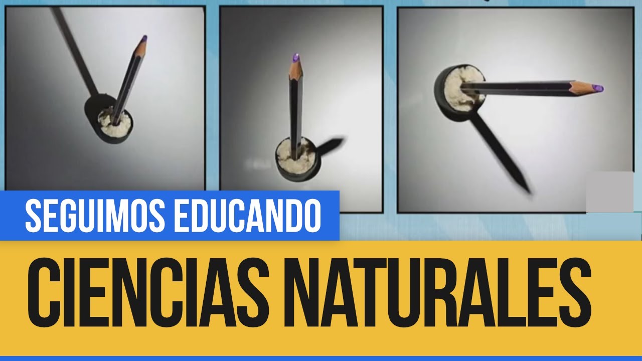 Ciencias Naturales: El ciclo del día y la noche - Seguimos Educando ...