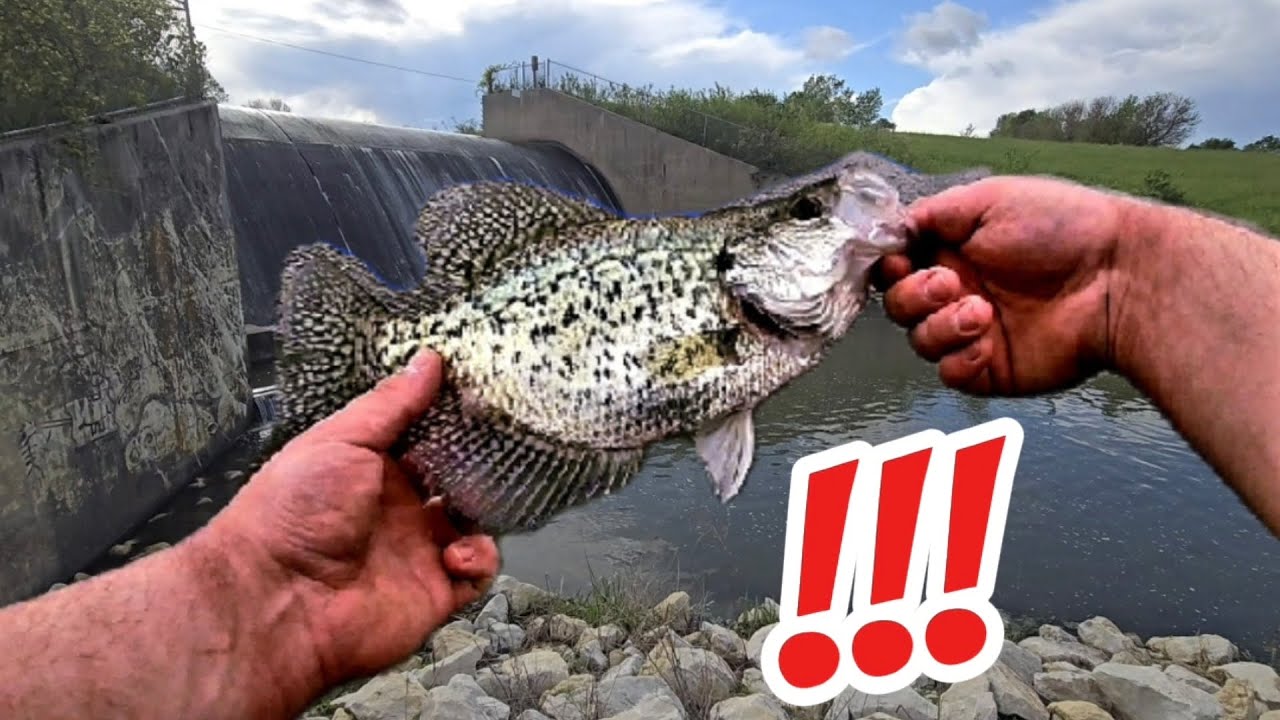 Spillway Pan Fishing (TONS OF CRAPPIE) - YouTube