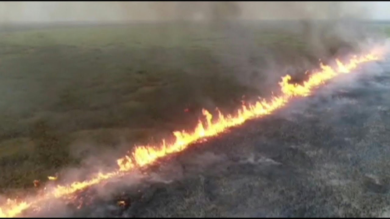 Aerial images show volunteers battling fires in Bolivia | AFP - YouTube