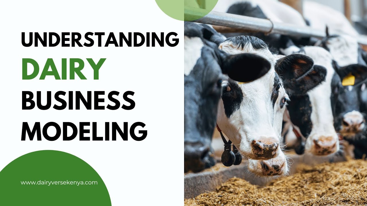 How Dairy Business Models Operate! PART 2 #dairyfarming #dairycow #cows ...