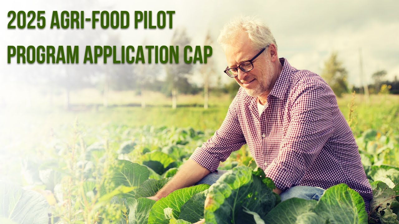 🚨 Important Update: 2025 Agri-Food Pilot Program Application Cap! - YouTube