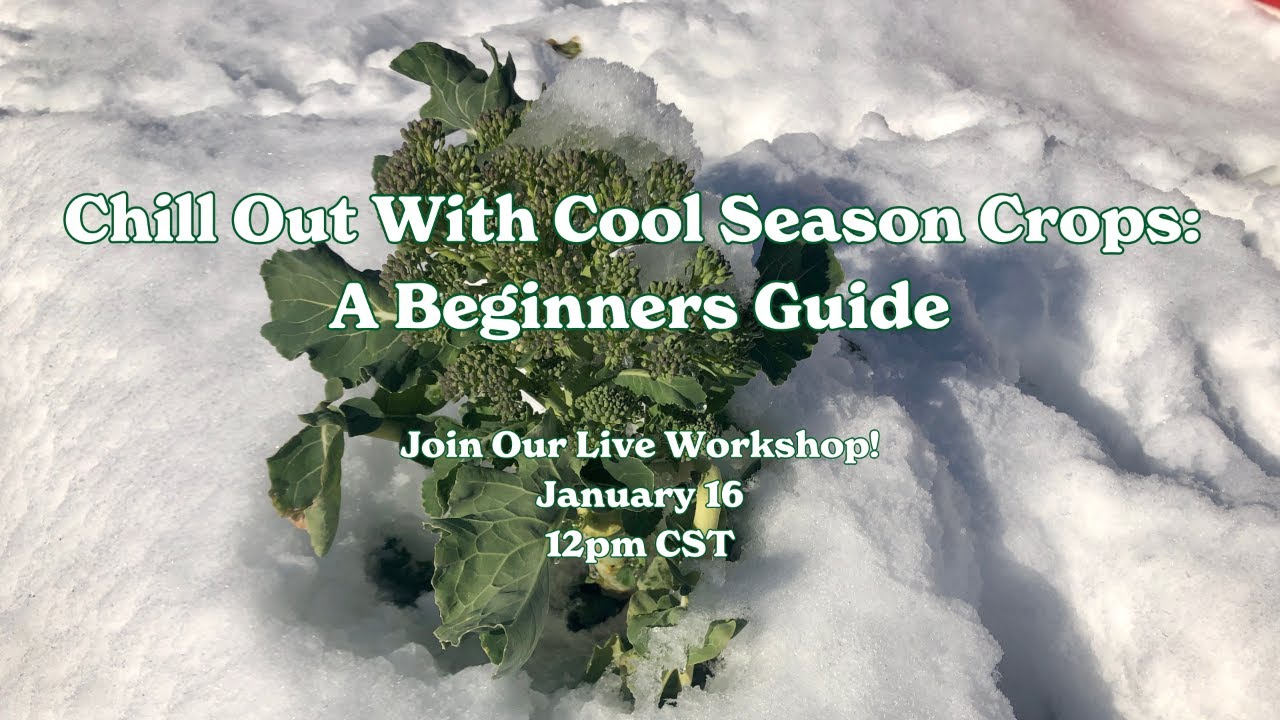 Chill Out With Cool Season Crops: A Gardener's Guide - YouTube
