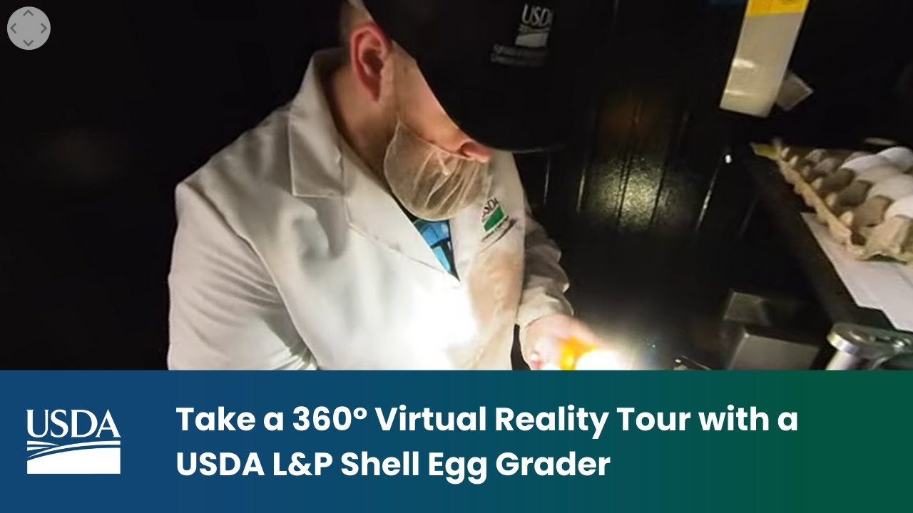 Take a 360° Virtual Reality Tour with a USDA L&P Shell Egg Grader - YouTube