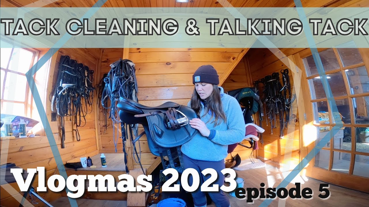 Tack Cleaning & Talking Tack for my OTTB | Barn Chores & EQUESTRIAN ...