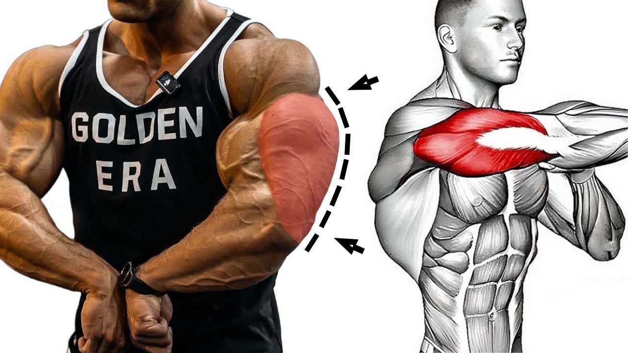 5 Mins Home Workout For BIGGER TRICEPS At Home | 5 EXs - YouTube