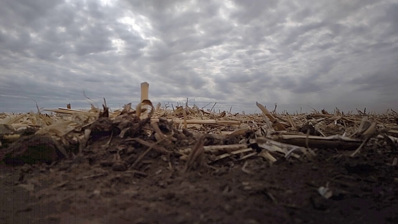 Corn planting 2020 - YouTube