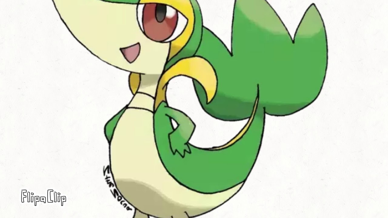 TMAOPM part 1: snivy kicks litten - YouTube