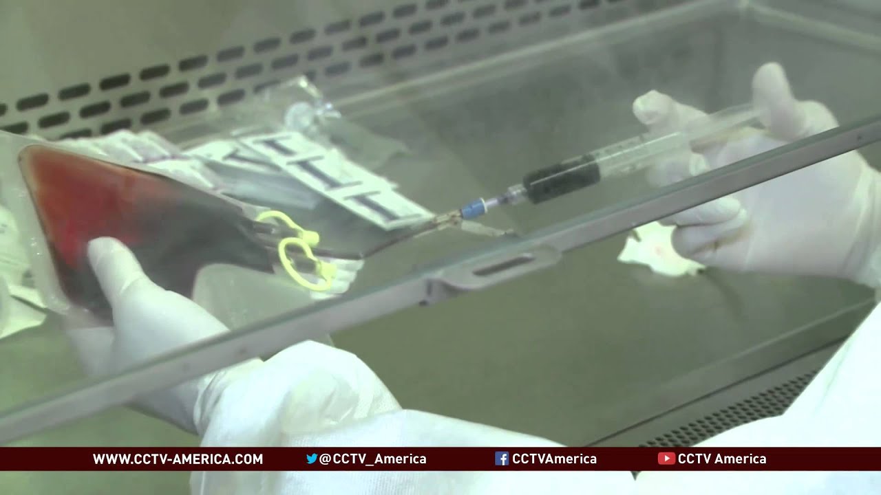 Stem cell storage provides 'back-up' for immune system - YouTube