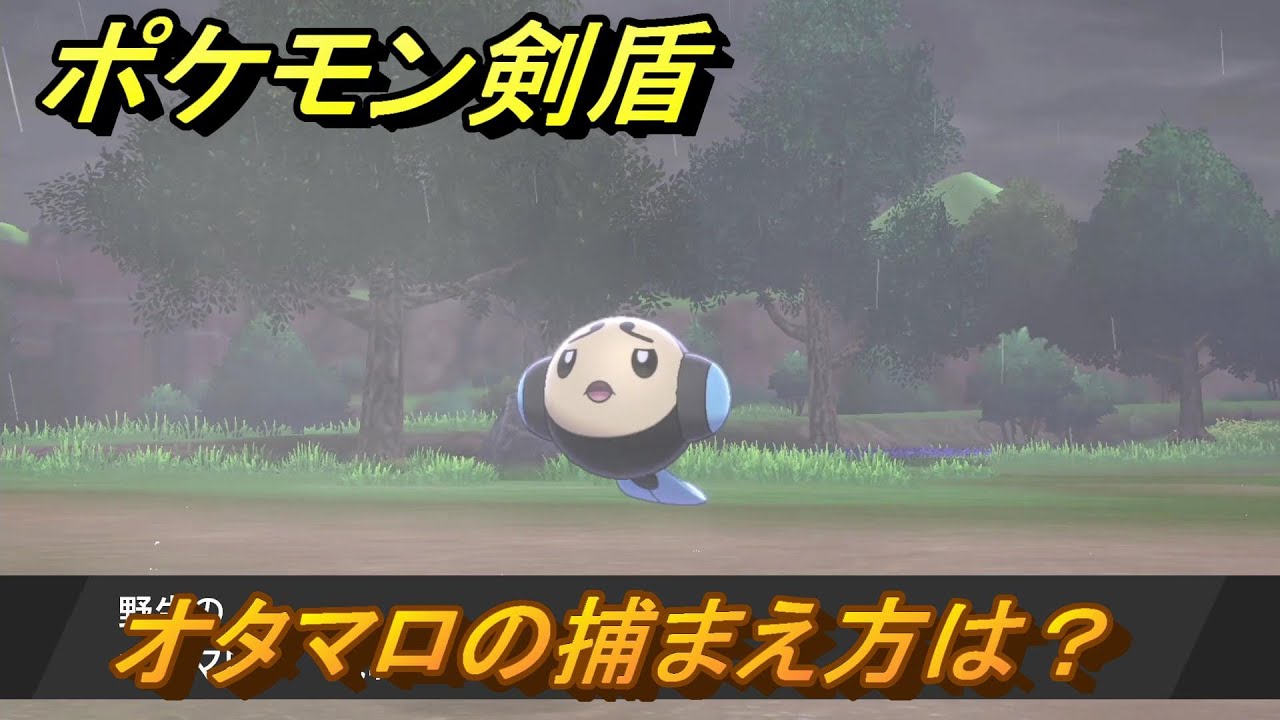 ポケモン剣盾 オタマロを捕まえる方法！オススメの場所は？天気は？ポケモン図鑑コンプへの道！ 最新版【ポケモンソード・シールド】 - YouTube