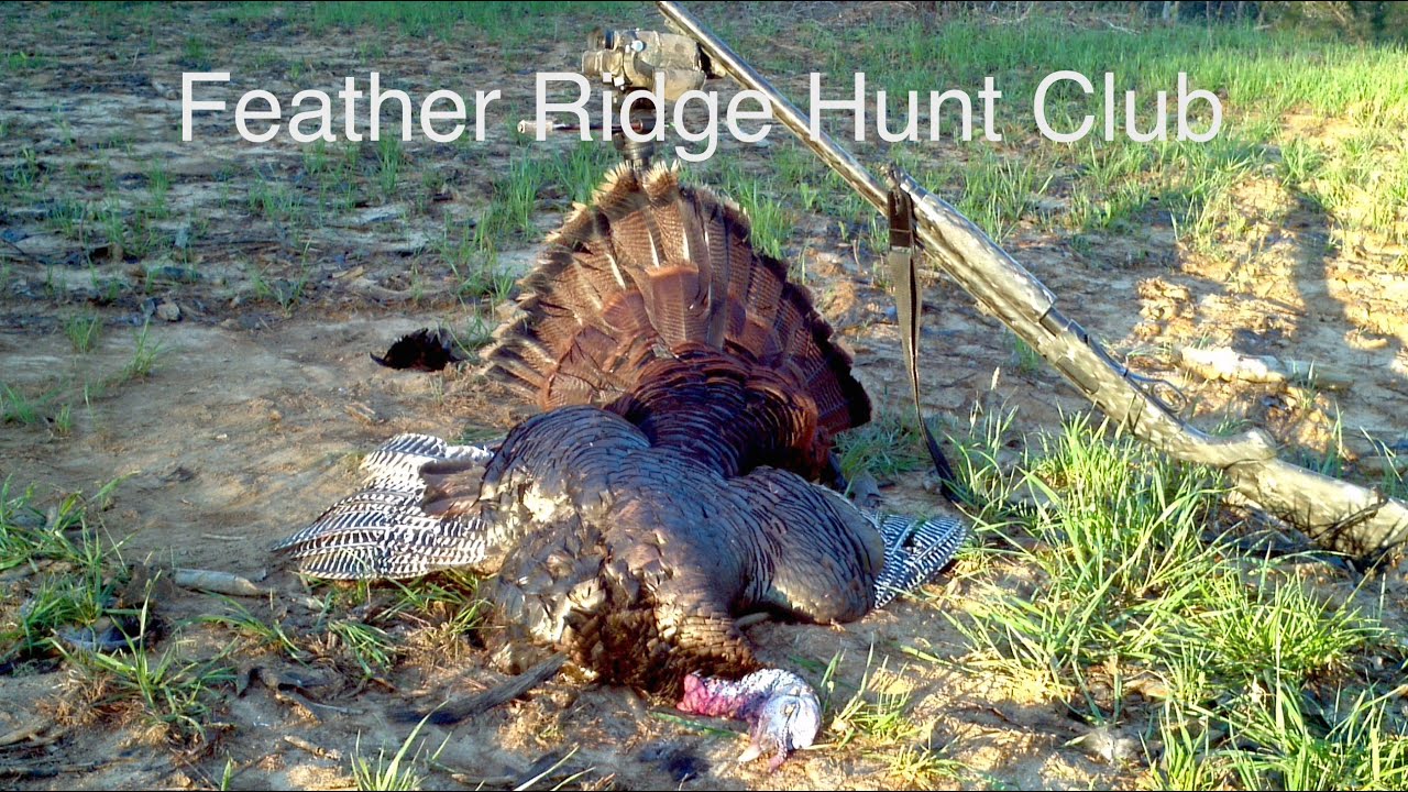 Turkey hunts FRHC 2015 Episode 3 Ol' Gimp - YouTube