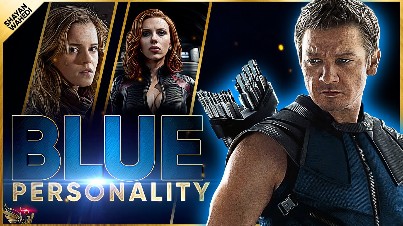 Blue Personality | the 4 DISC Personality Types | Shayan Wahedi 🔥 - YouTube