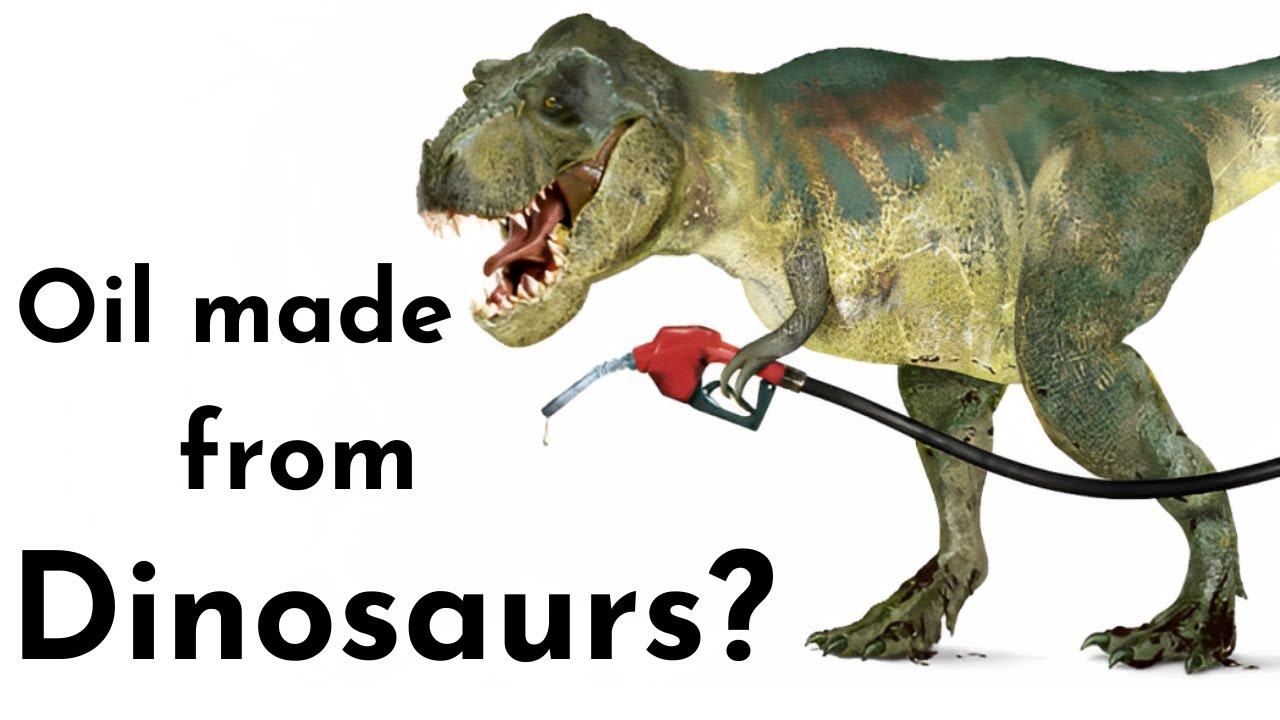Why do People Think Oil Comes From Dinosaurs - In 30 Seconds | Zootub3 ...