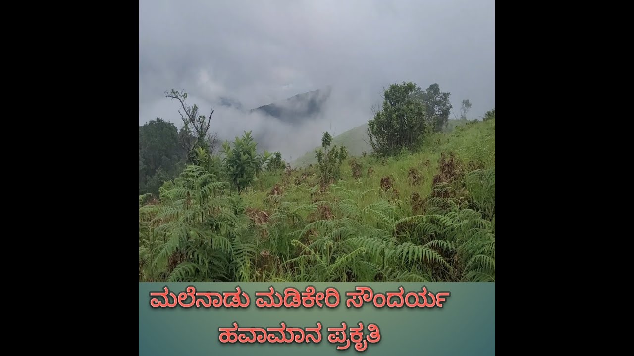 ಮಲೆನಾಡು ಮಡಿಕೇರಿ ಪ್ರಕೃತಿ ಸೌಂದರ್ಯ| Madikeri| Coorg | ಮಲೆನಾಡ ಹನಿ| Malnad ...