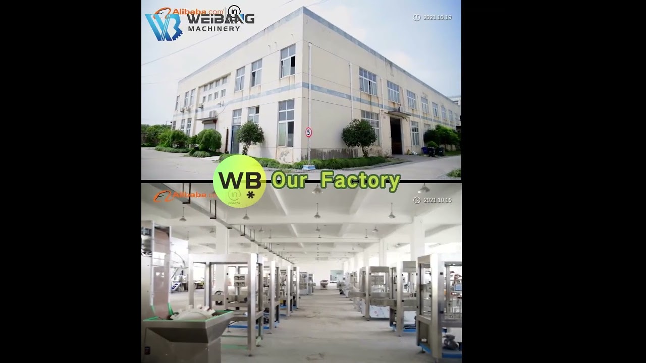 WB-FW100 Automatic Tube Filling and Sealing Machine - YouTube