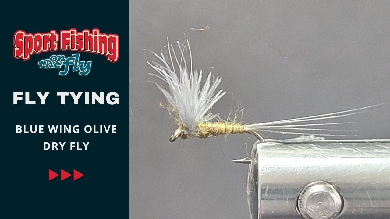 How To Tie A Blue Wing Olive Dry Fly at Lawrence Burgess blog