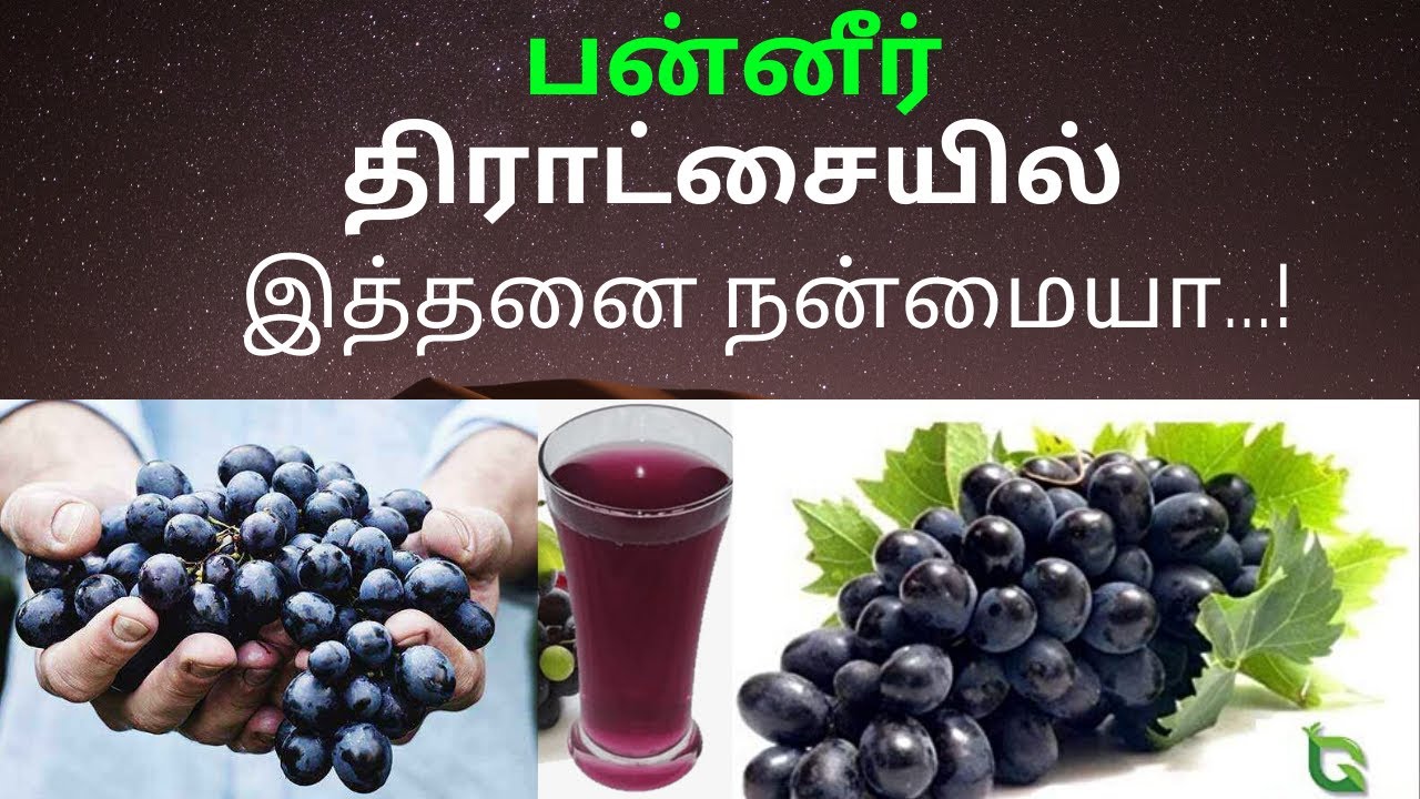 இந்த பழத்தில் இவ்வளவு நன்மைகளா...! | BLACK GRAPES|| NESAM |#panneer ...