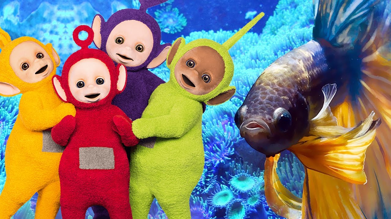 Teletubbies English Episodes ★ Tropical Fish ★ Full Episode - HD (S08 ...