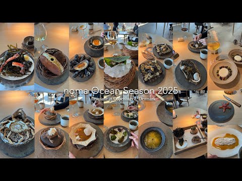 NOMA 2.0 Oceans Season 2025 | Michelin 3 Star Restaurant