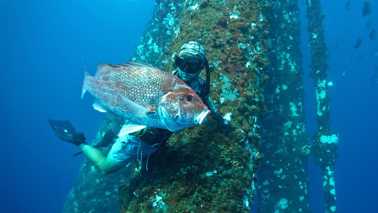 Beautiful Water Spearfishing Cutoff OIL RIGS & Sick Fish? {Just Diving ...