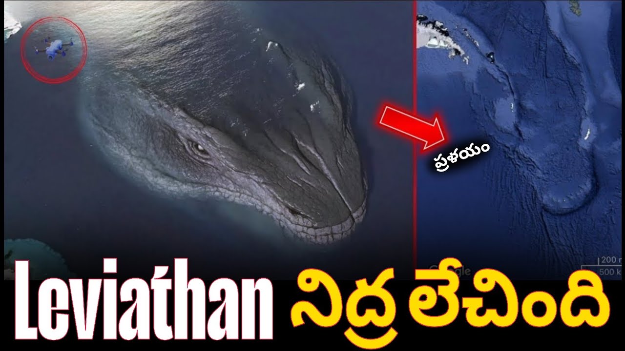 🚨 Is Leviathan real ? | Facts About The Leviathan Sea Monster | Abhishek Batha | inthiyaz | i ...