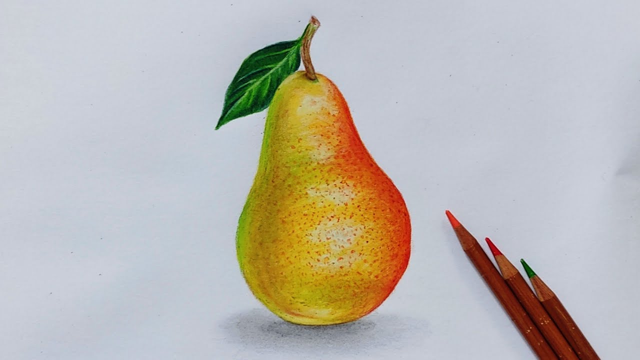 How to draw a pear with color pencil - YouTube