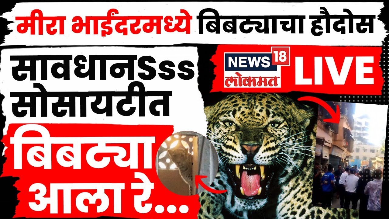 Leopard News LIVE | Bhayandar Bibtya News | भाईंदरमध्ये बिबट्याची दहशत ...