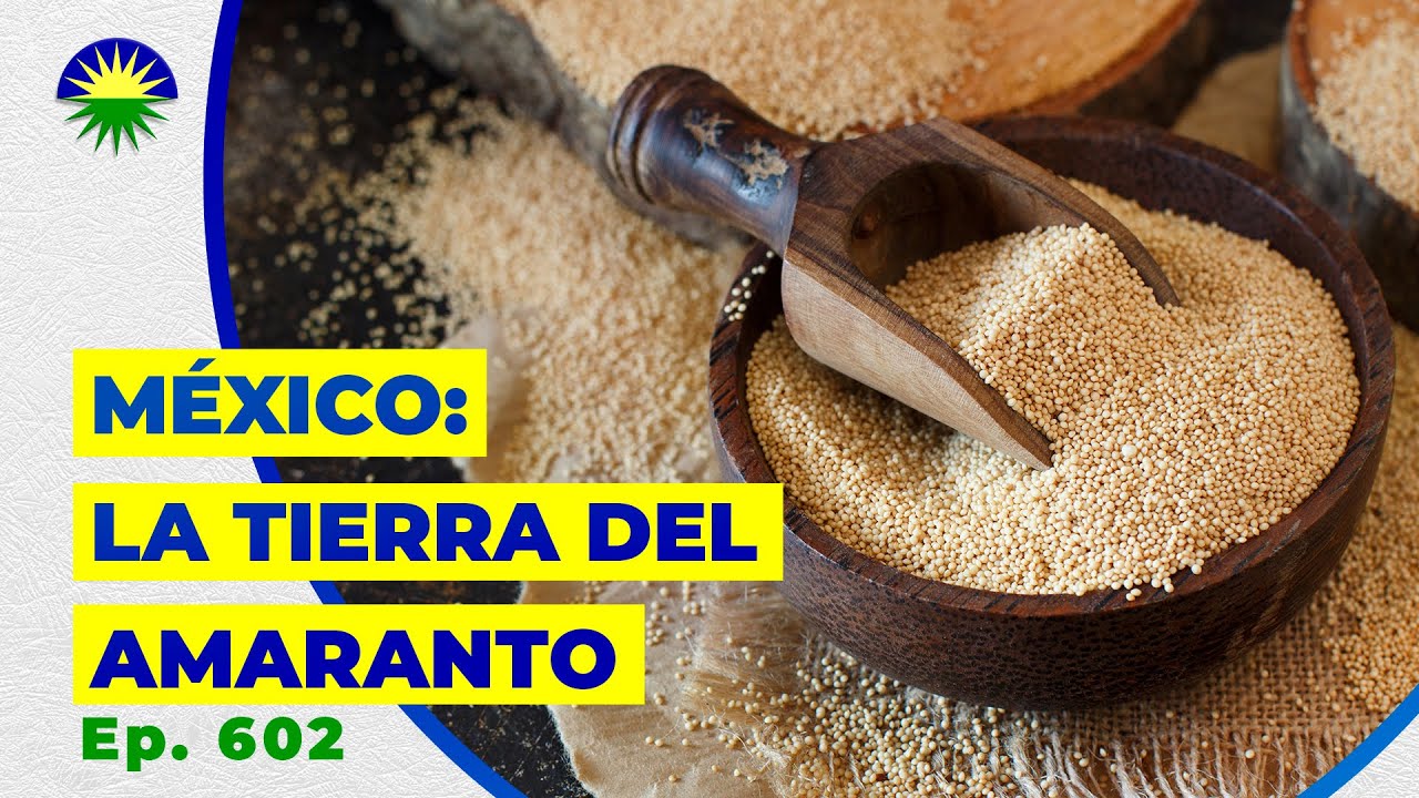 602. México: La tierra del Amaranto - YouTube