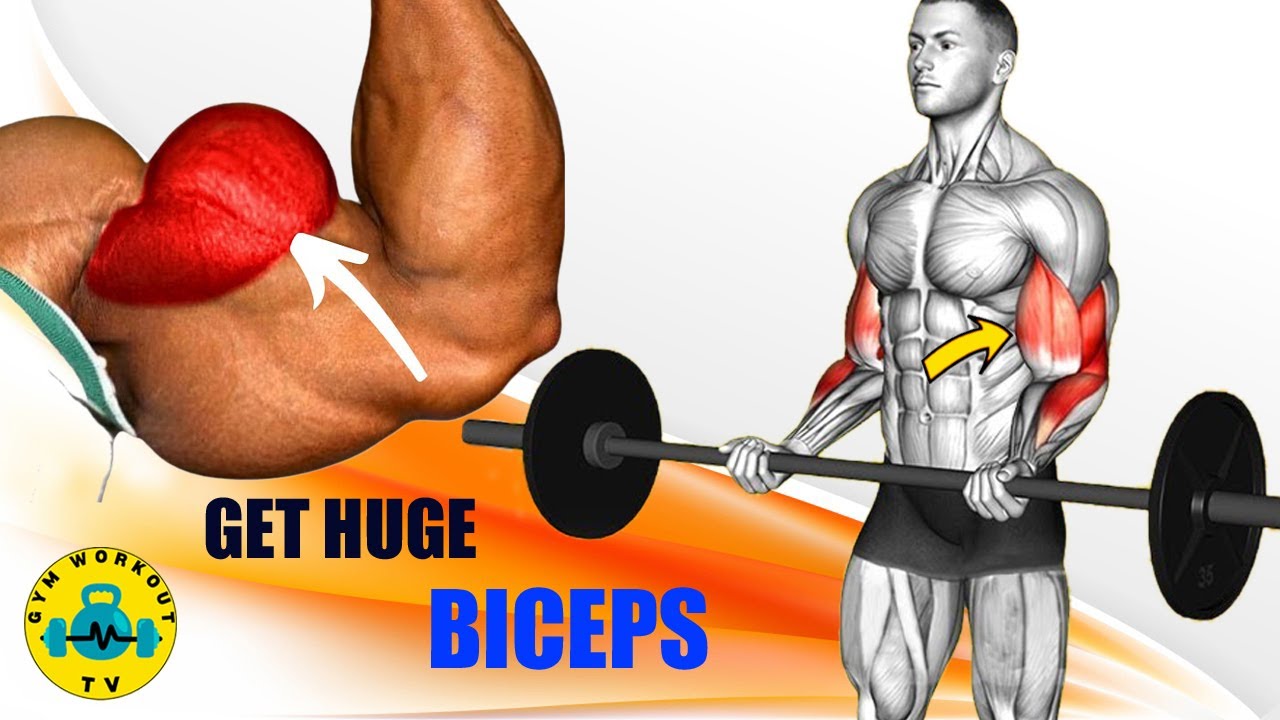 6 Best Exercises For Bigger Biceps At Gym Biceps Workout Youtube
