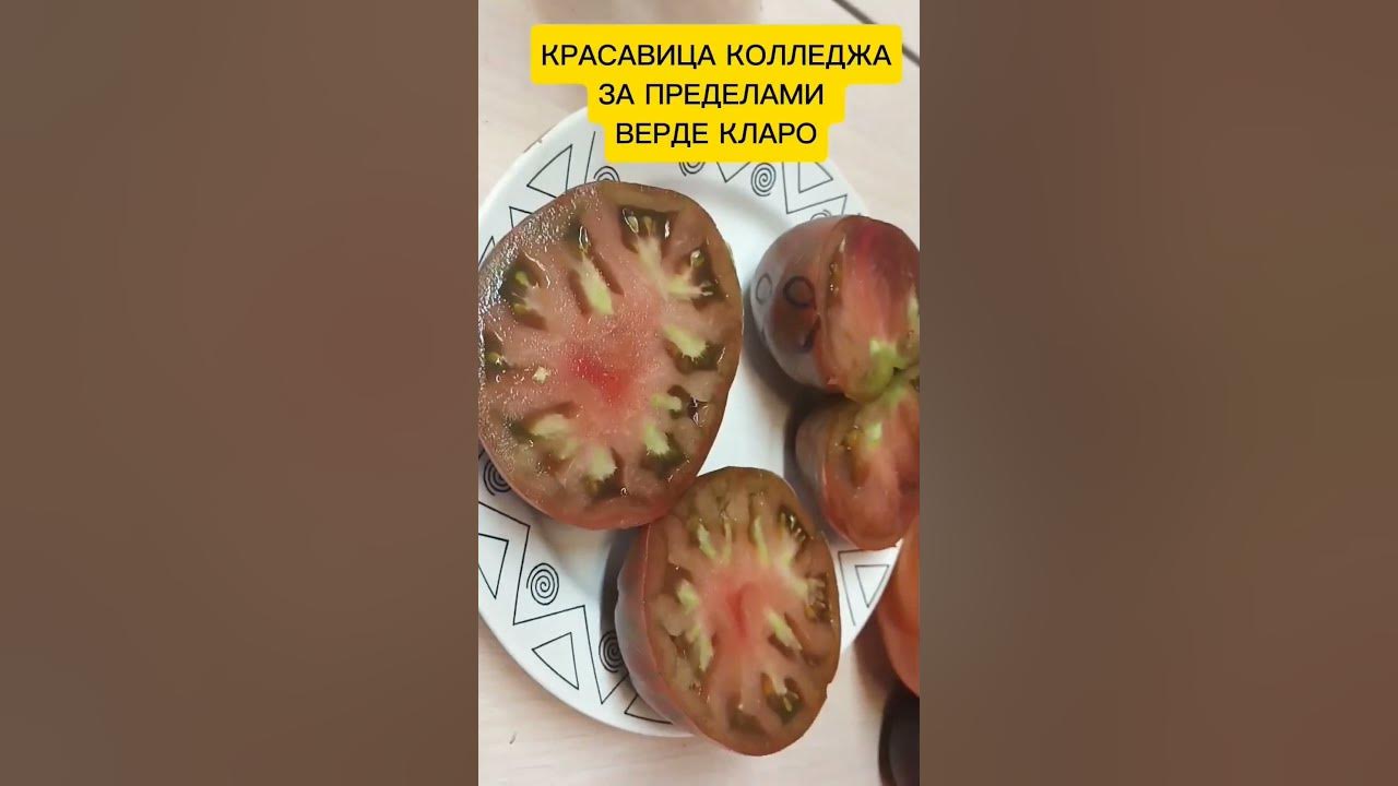 Томаты Сердолик, Сталь ДАМАССКА, Грудь Венеры, Красавица колледжа за ...