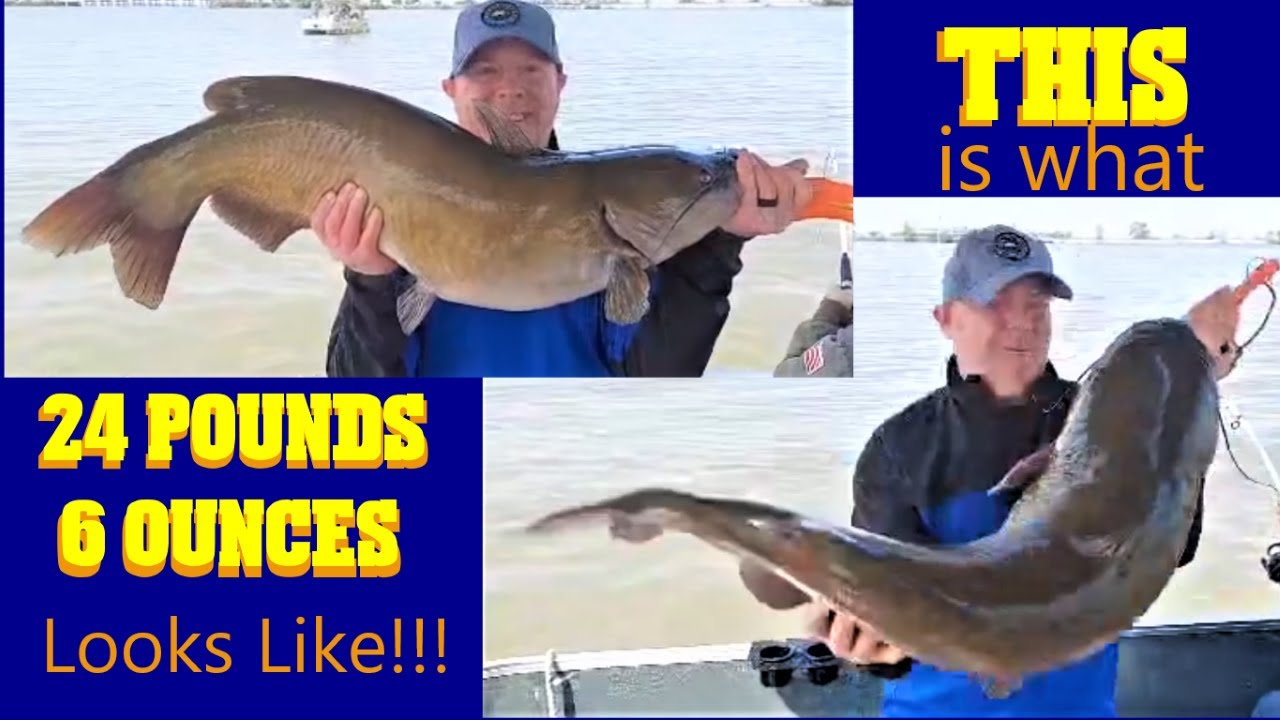 A 24 POUND 6 OUNCE Catfish, WOWZA!!!!! And it is ONLY May, 18th - The ...