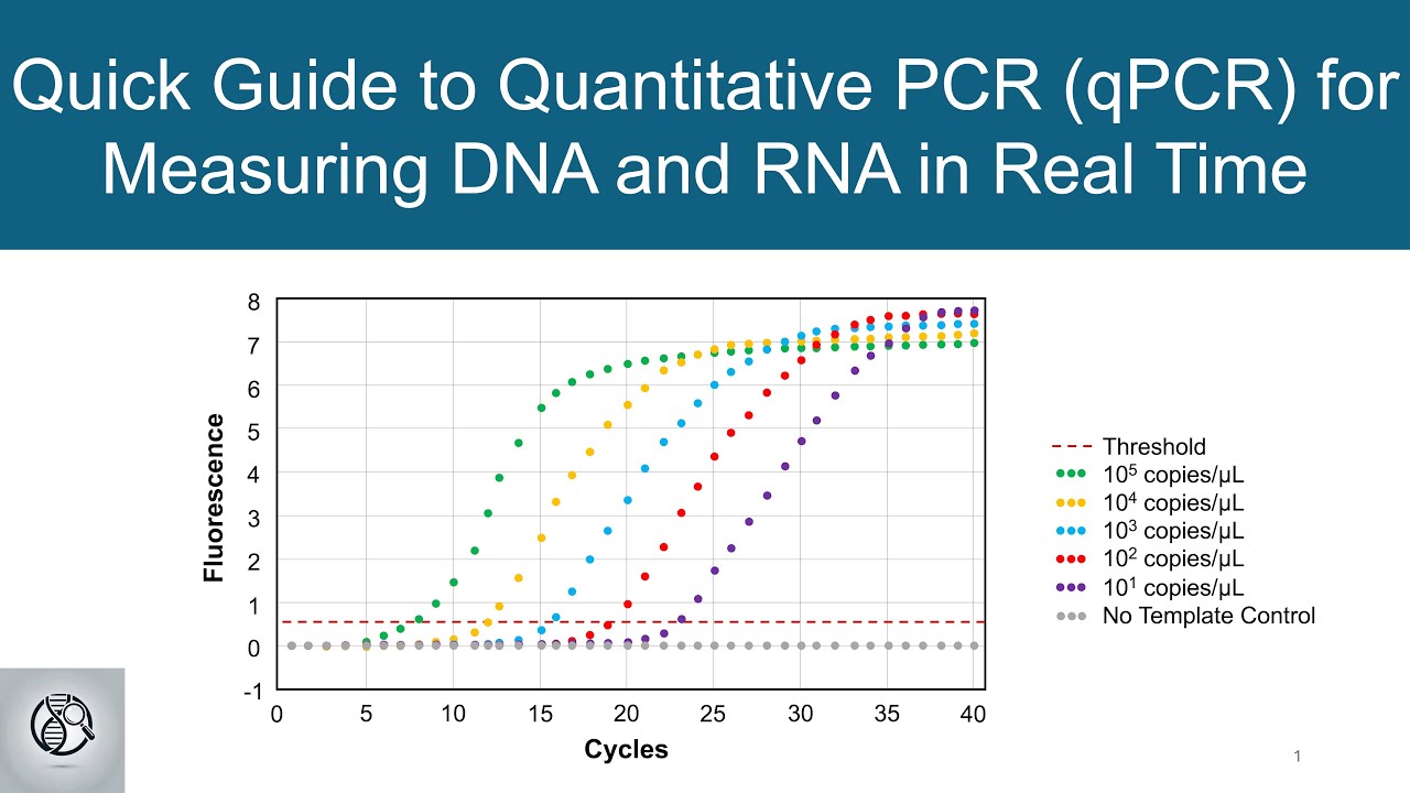 Quick Guide to Quantitative PCR (qPCR) for Measuring DNA and RNA in ...